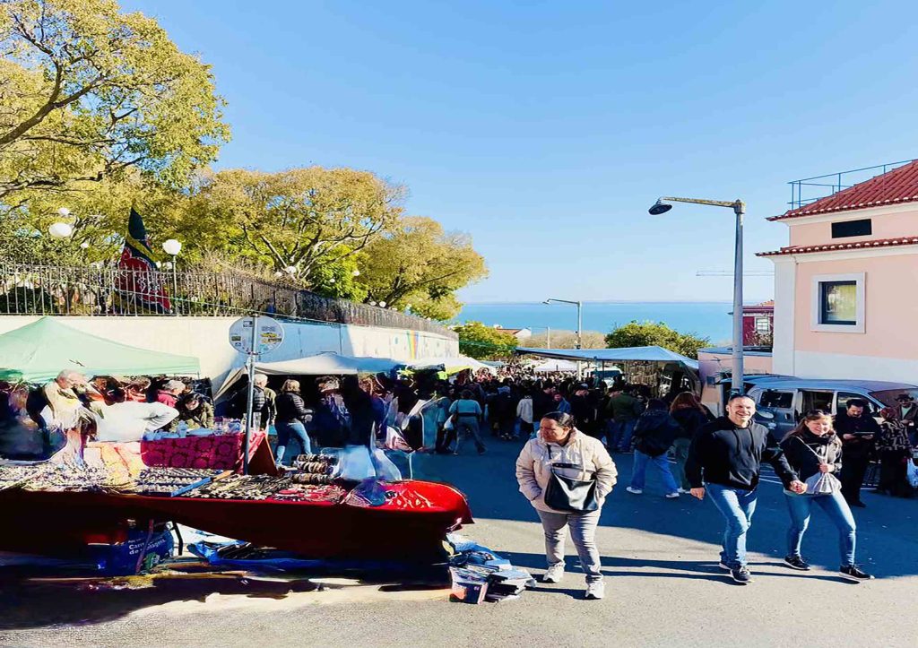 Sines Local Market Shopping Tips: A Traveler’s Guide to the Hidden Gems ...